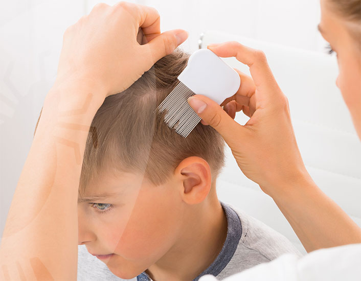 About us – Lice Off | Lice Removal